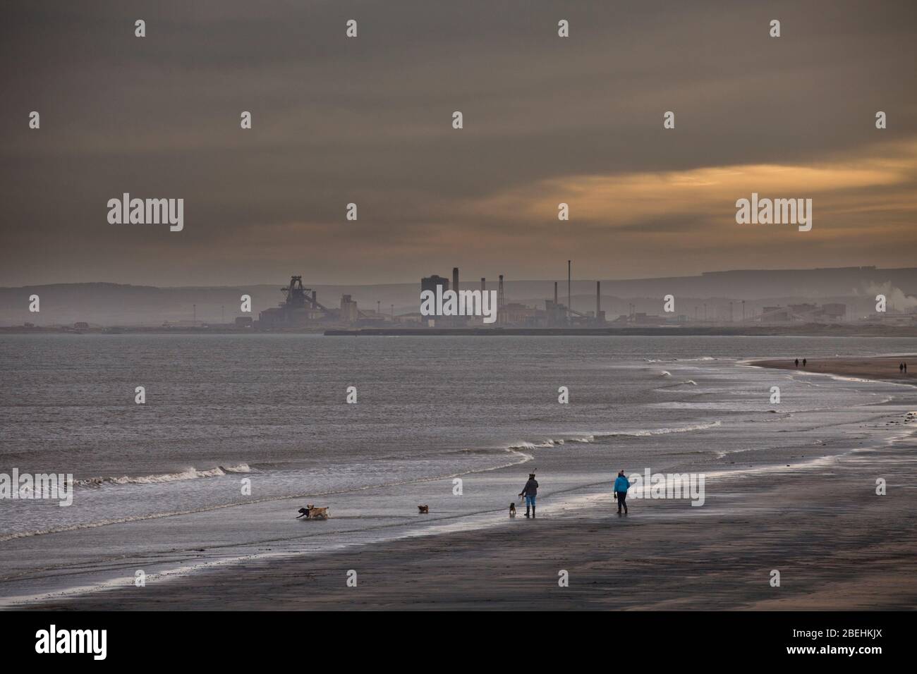 Beech with dog walkers at Hartelpool looking towards the closed SSI ...