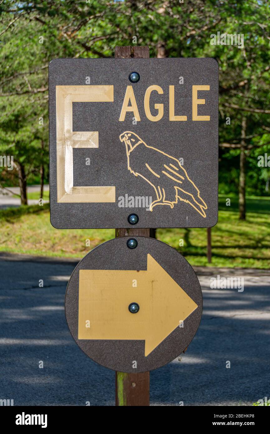 Direction road sign for section E "Eagle" to a camping area Stock Photo ...