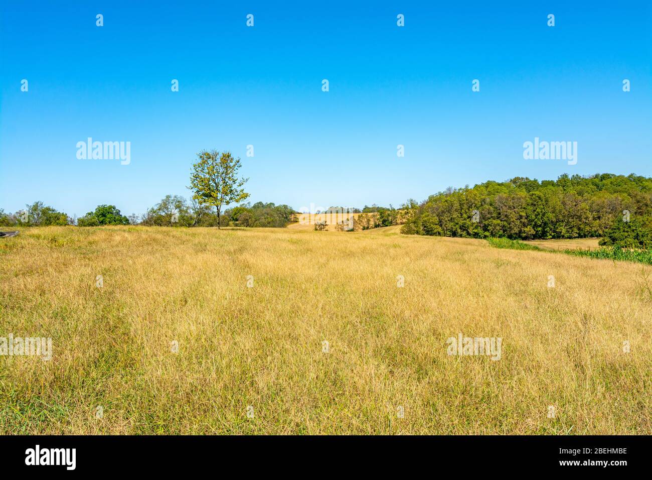 View of beautiful rolling grassland in the Bluegrass area of Kentucky ...