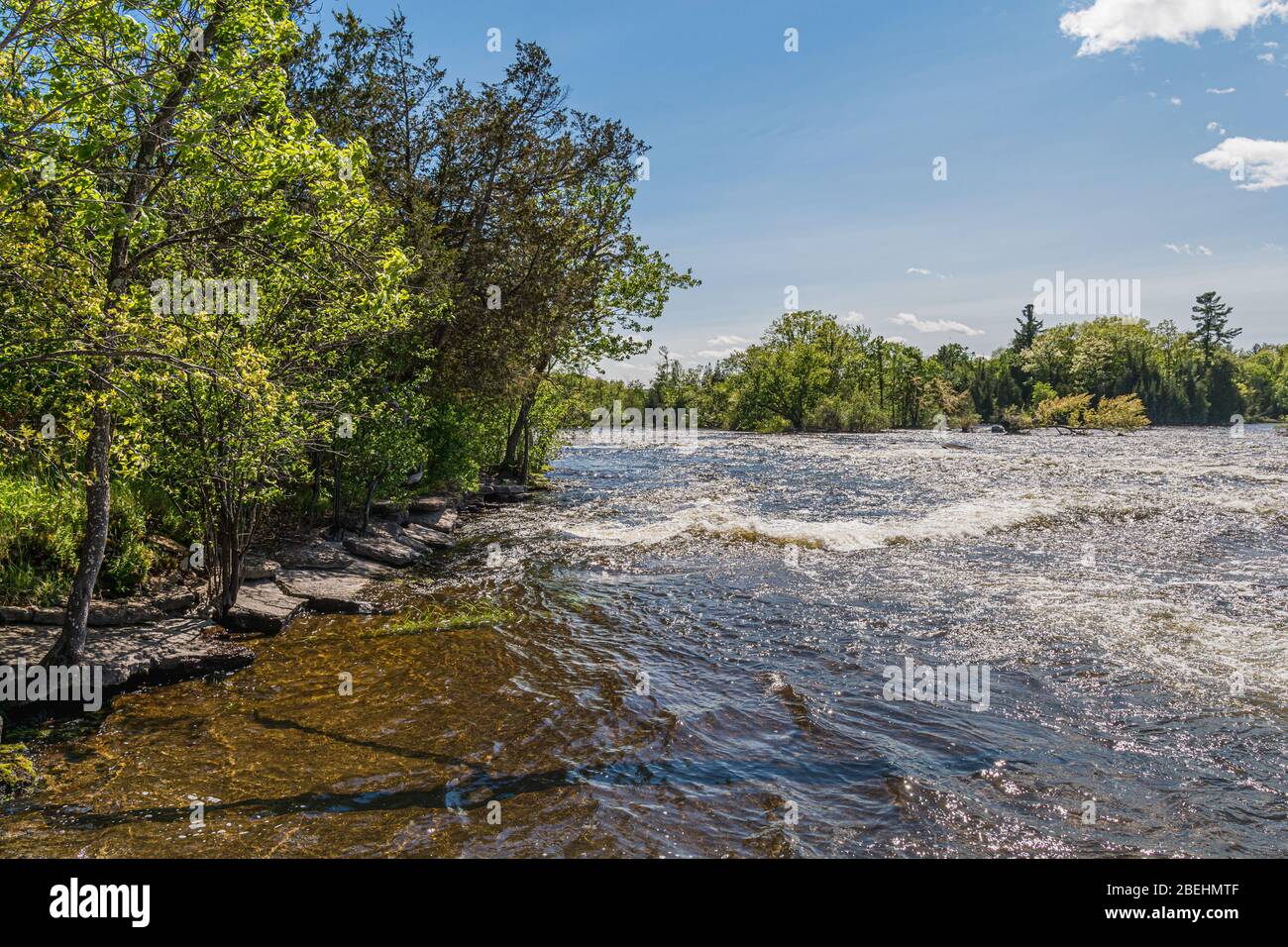 Havelock river hi-res stock photography and images - Alamy