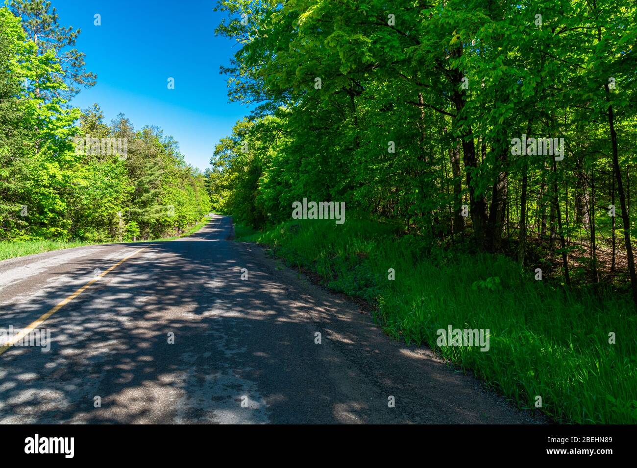 Algonquin Highlands County Cottage Country Vistas Waterfalls and Flora ...