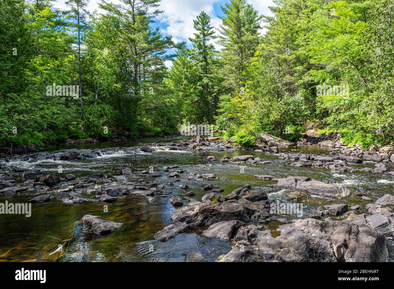 Algonquin Highlands County Cottage Country Vistas Waterfalls and Flora ...