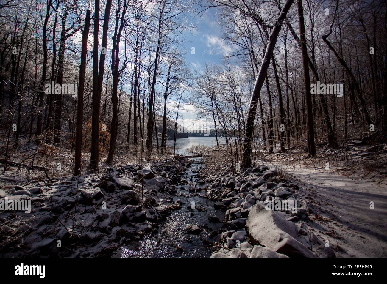 A frozen, desolate trail at Giuffrida Park in Meriden, Connecticut ...