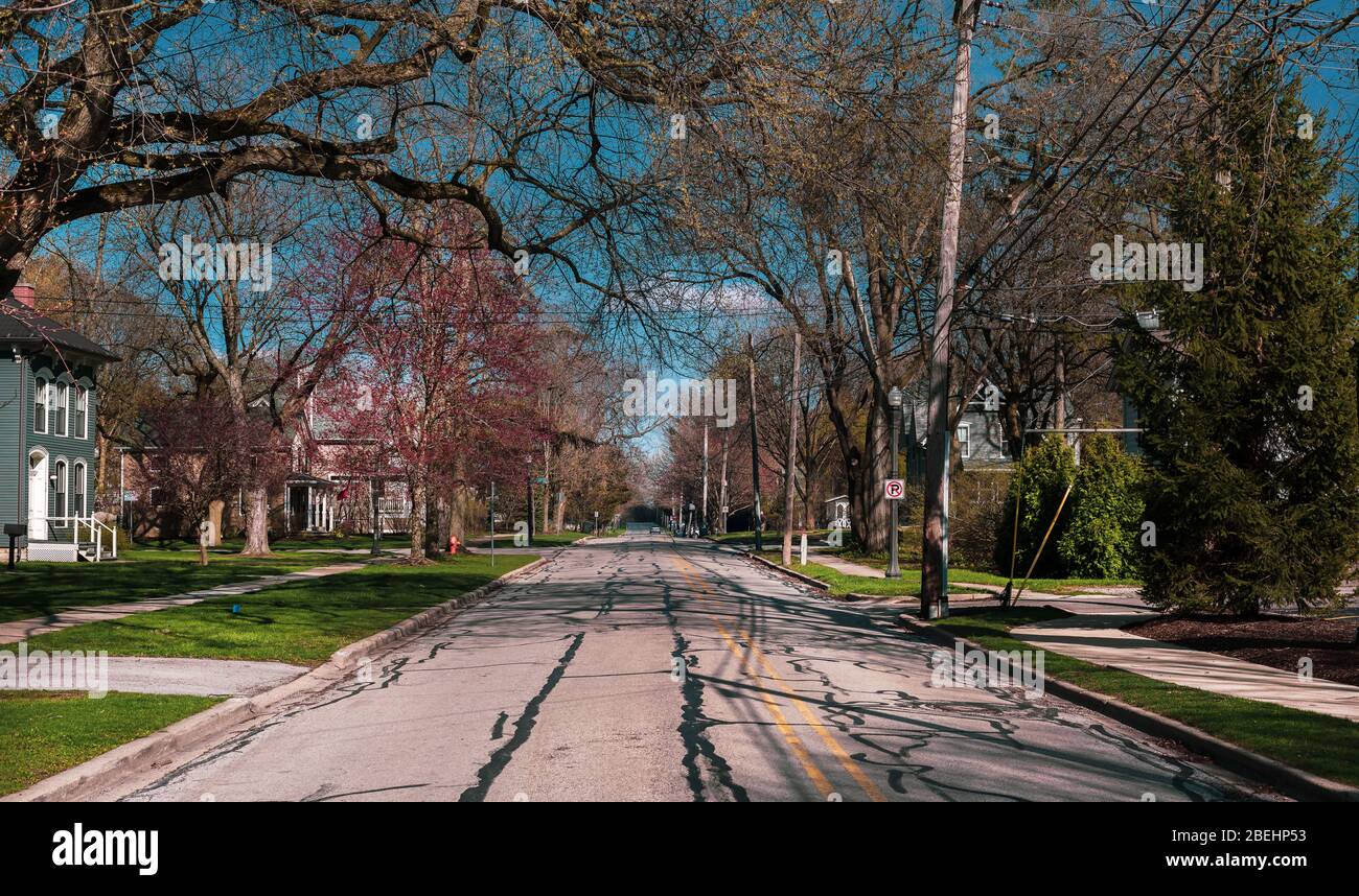 nature at work Stock Photo - Alamy