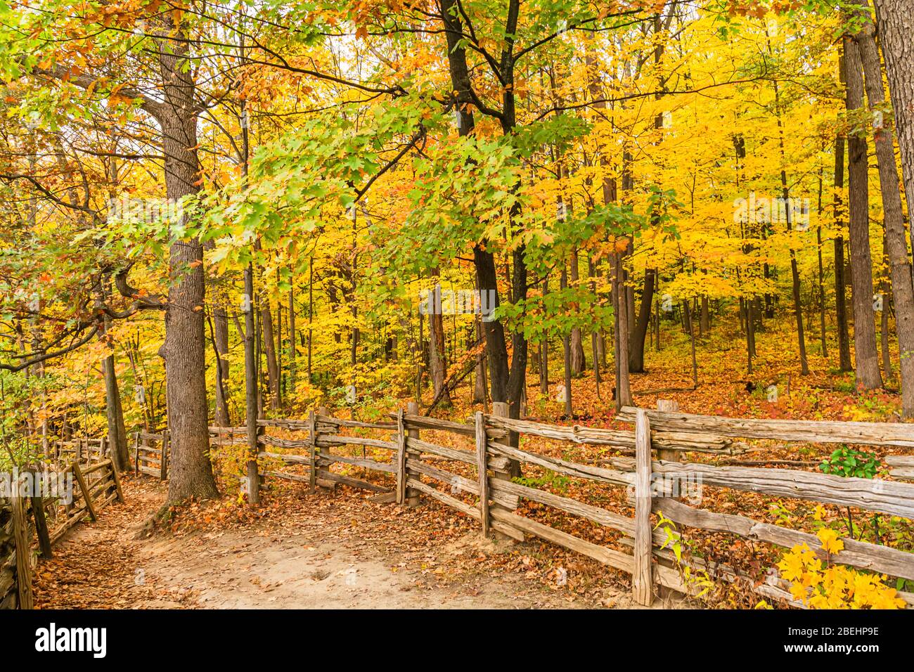 Hamilton mountain trail hi-res stock photography and images - Alamy