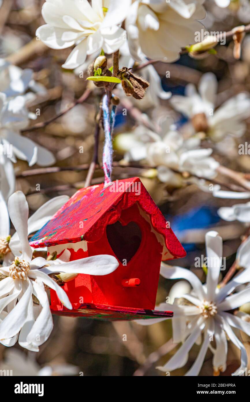 Red bird house hi-res stock photography and images - Alamy