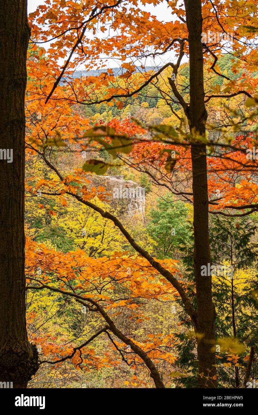 Dundas Valley Niagara Escarpment Hamilton Ontario Canada in autumn ...
