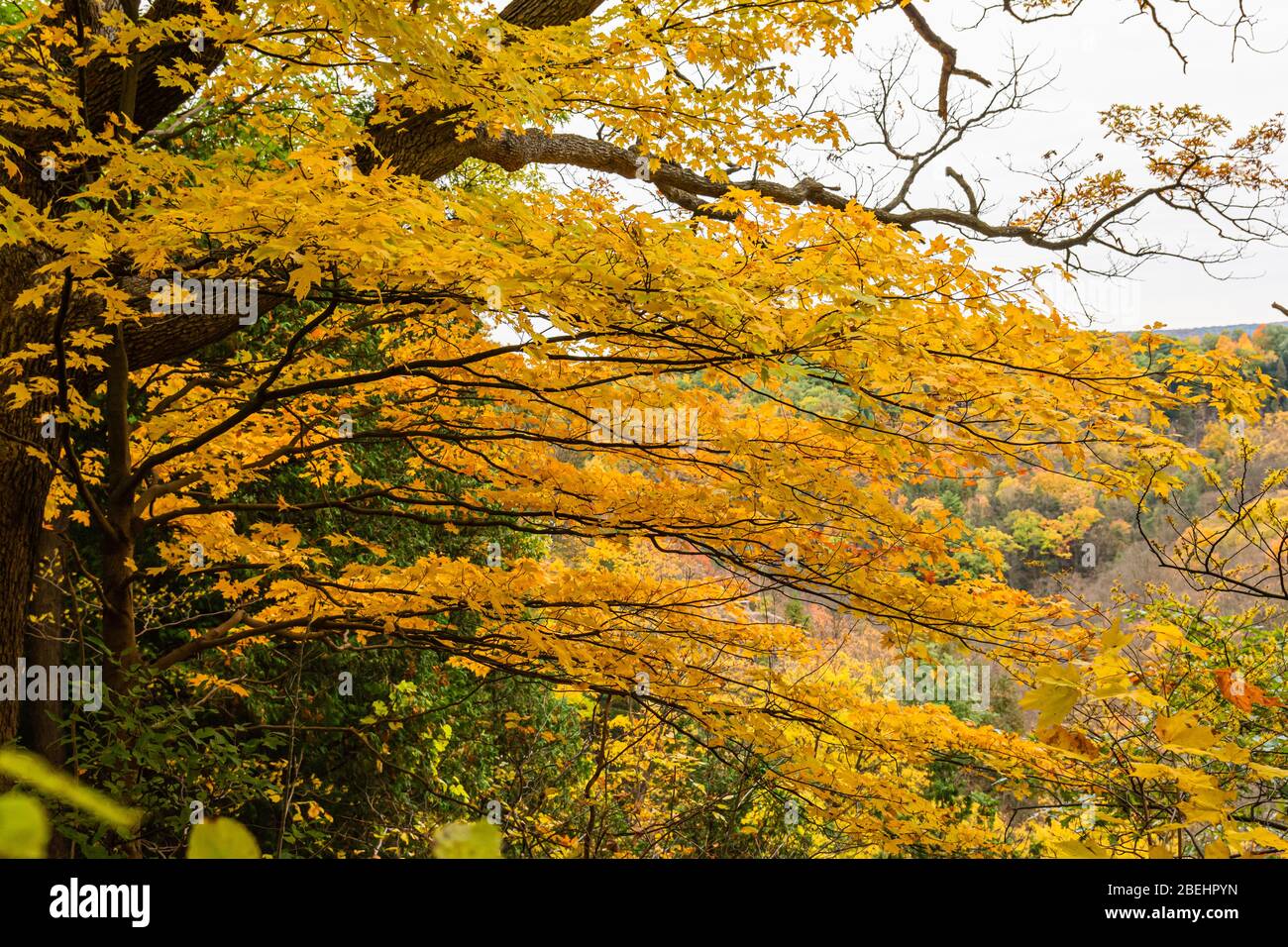 Hamilton mountain trail hi-res stock photography and images - Alamy