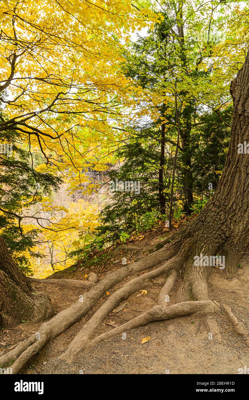 Hamilton mountain trail hi-res stock photography and images - Alamy