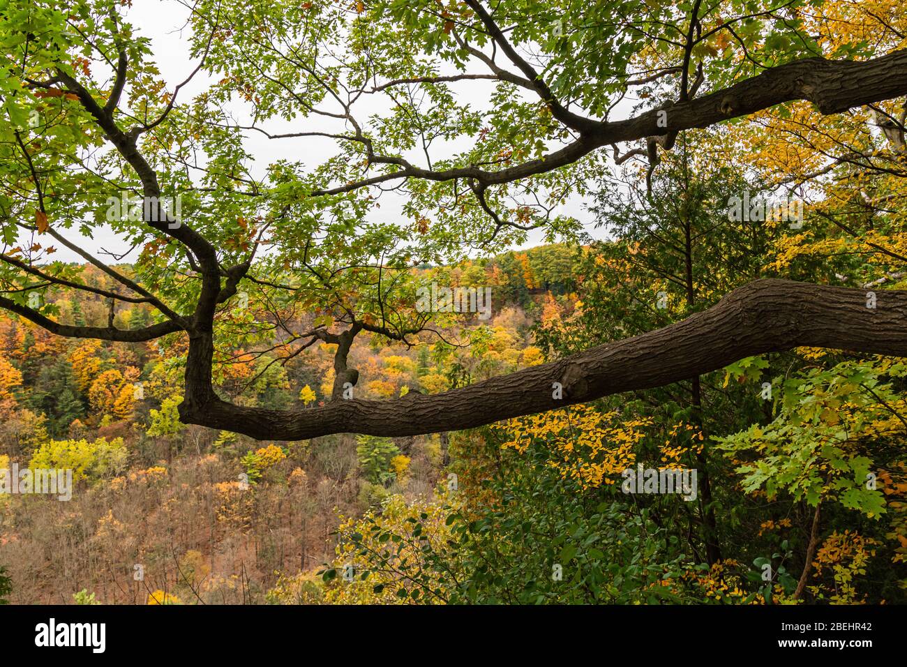 Dundas hills hi-res stock photography and images - Alamy