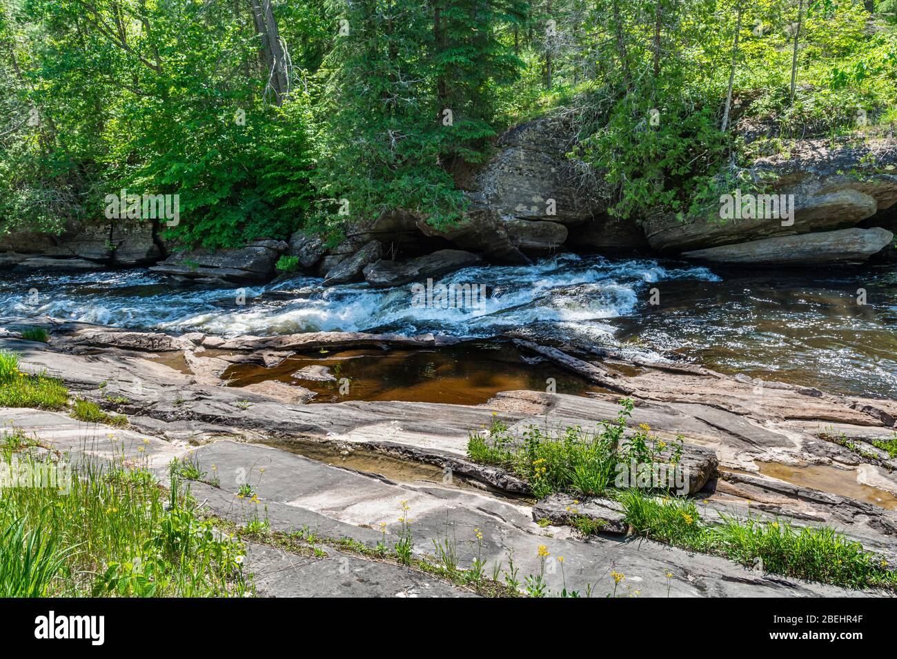 Algonquin Highlands County Cottage Country Vistas Waterfalls and Flora ...