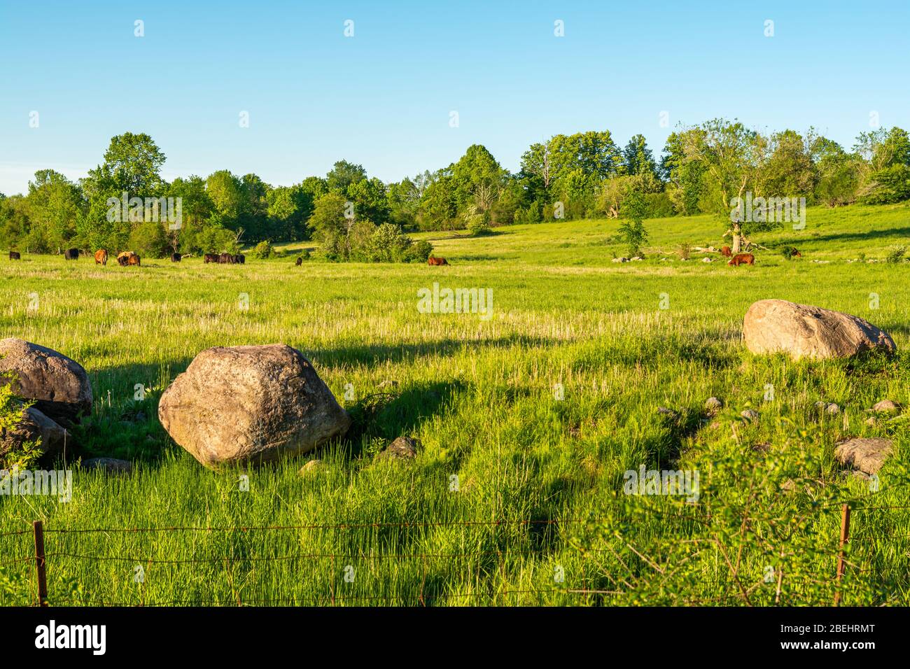 Algonquin Highlands County Cottage Country Vistas Waterfalls and Flora ...
