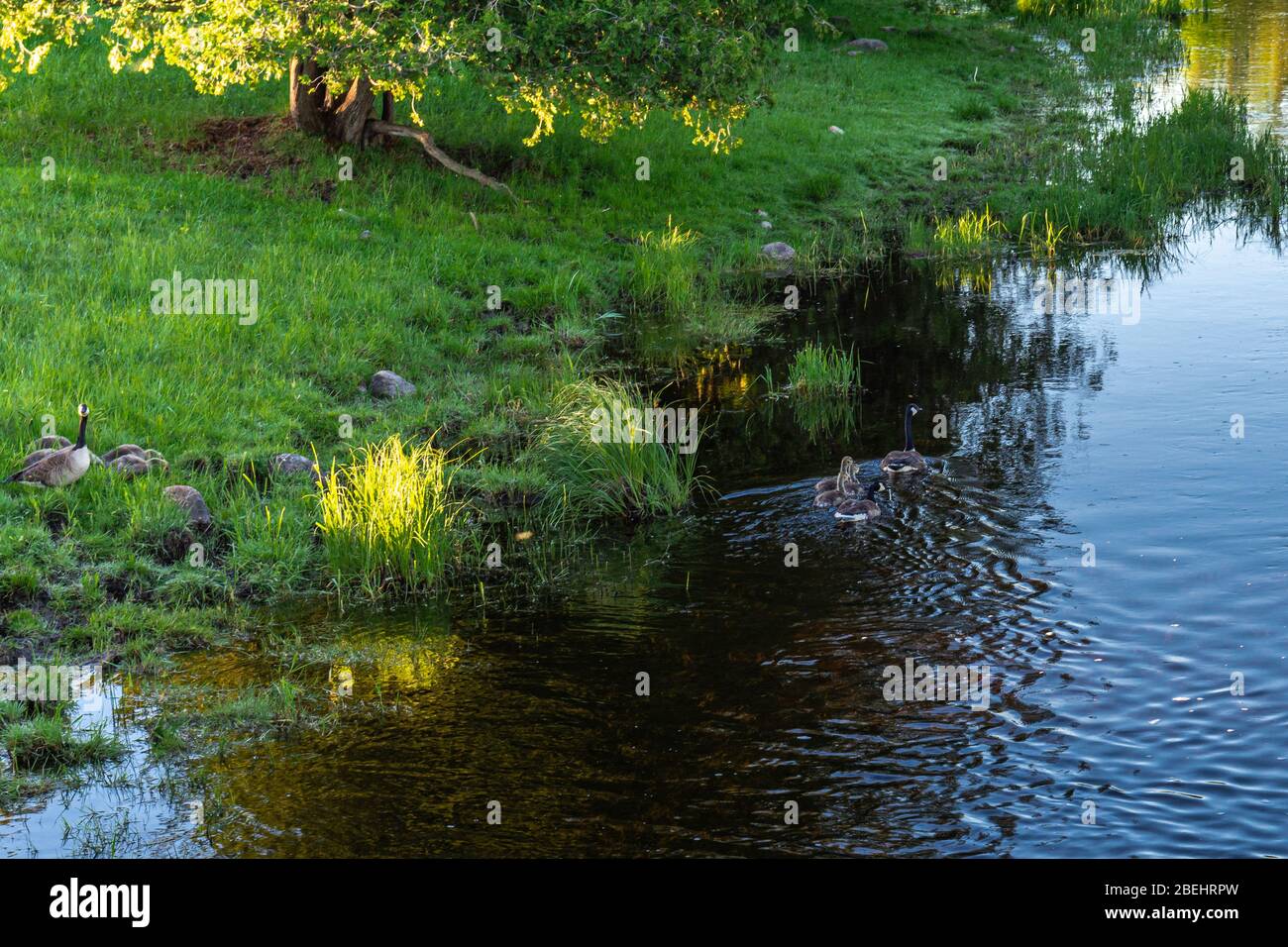 Algonquin Highlands County Cottage Country Vistas Waterfalls and Flora ...