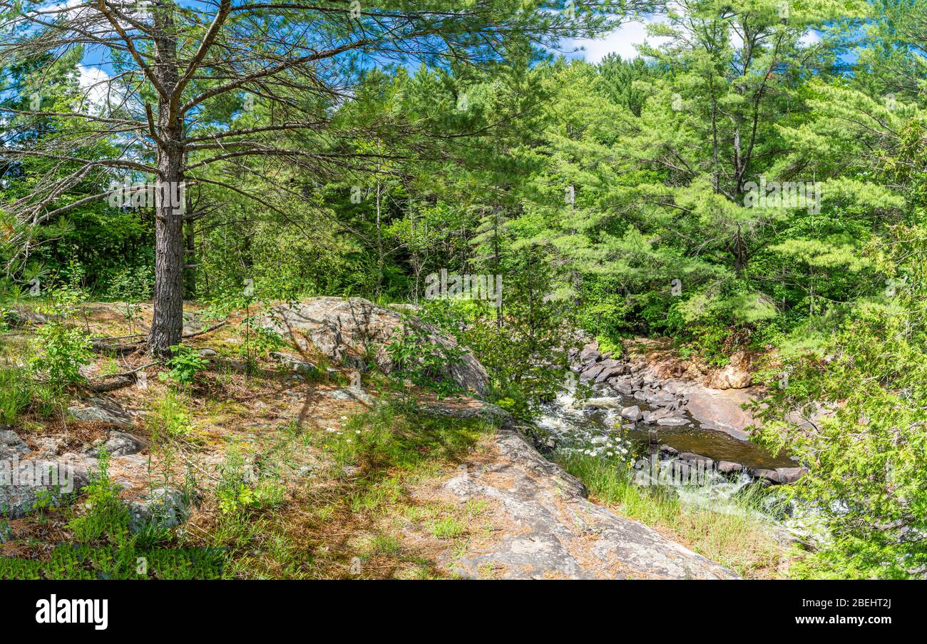 Algonquin Highlands County Cottage Country Vistas Waterfalls and Flora ...