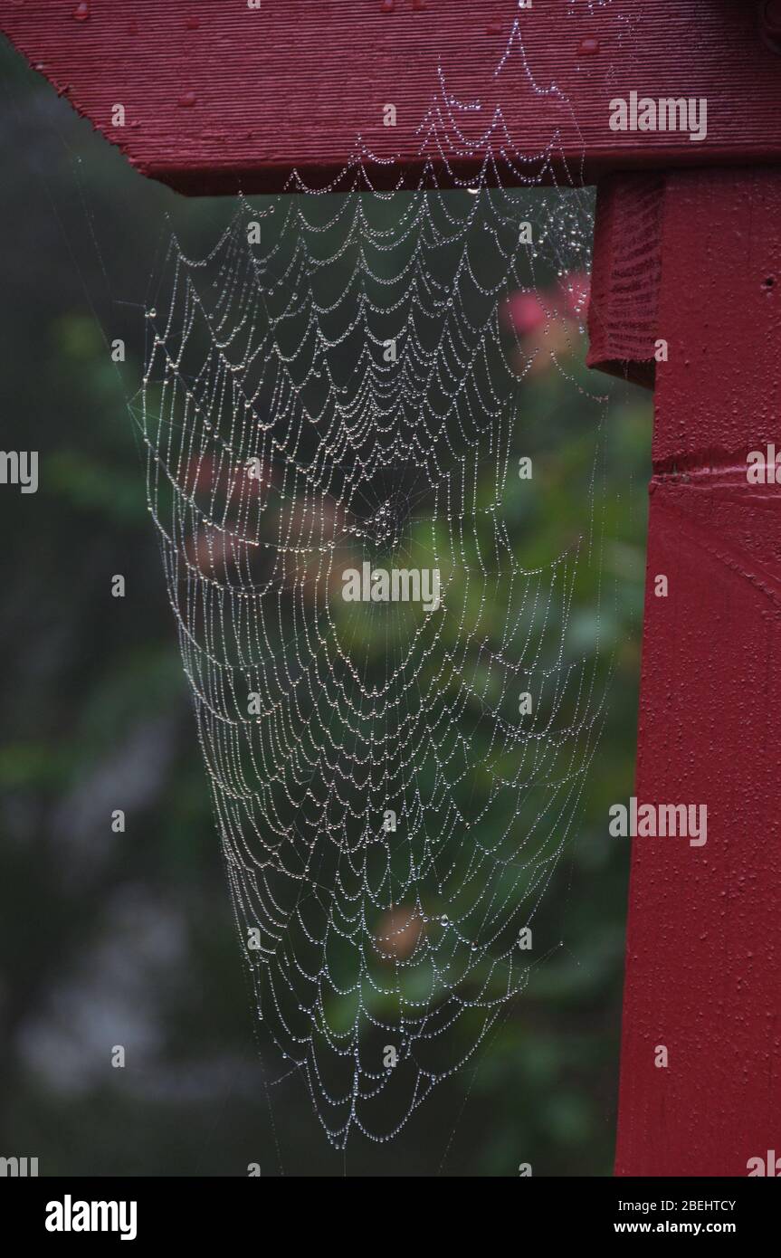Cobweb gate hi-res stock photography and images - Alamy