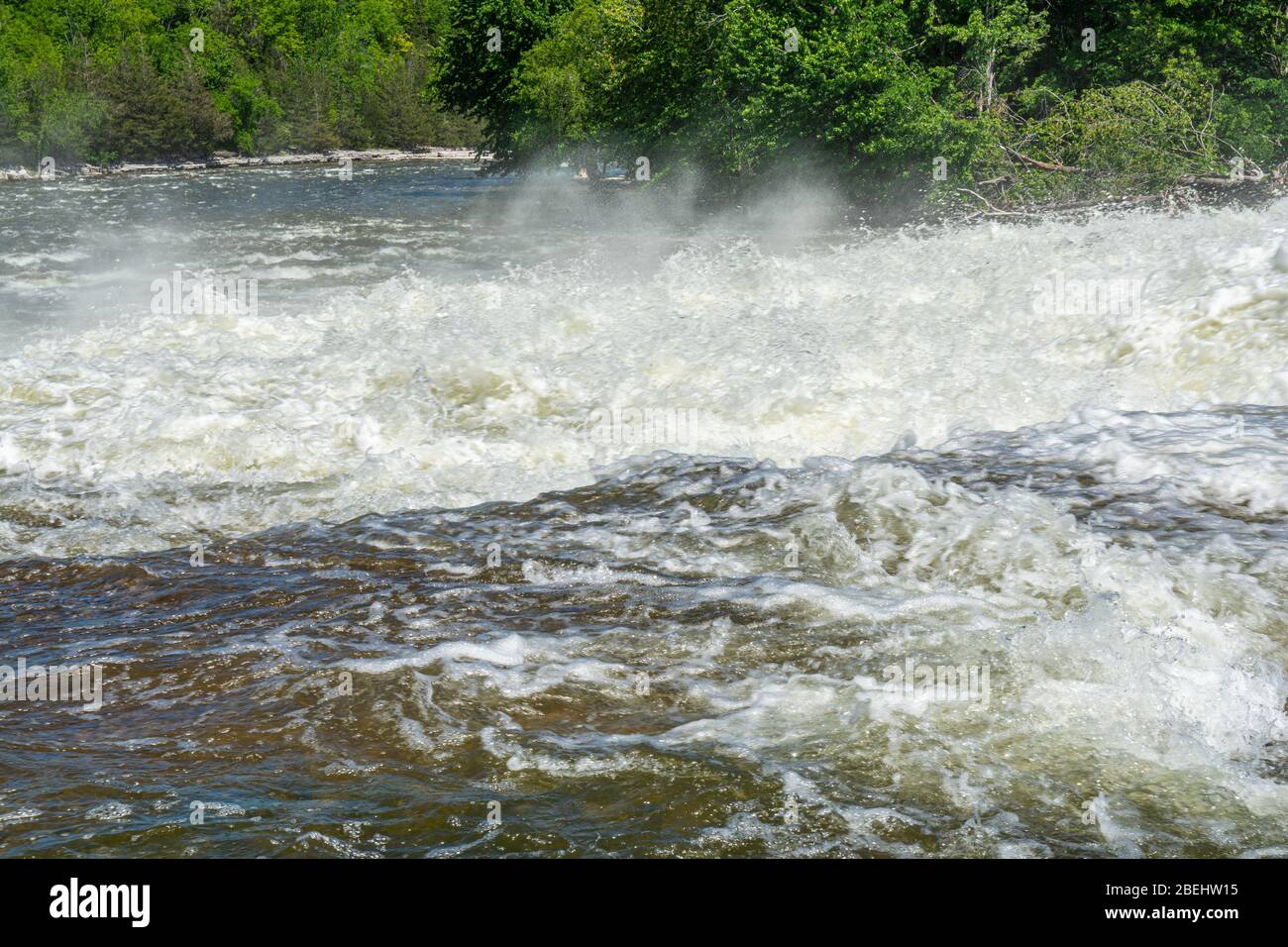 Algonquin Highlands County Cottage Country Vistas Waterfalls and Flora ...