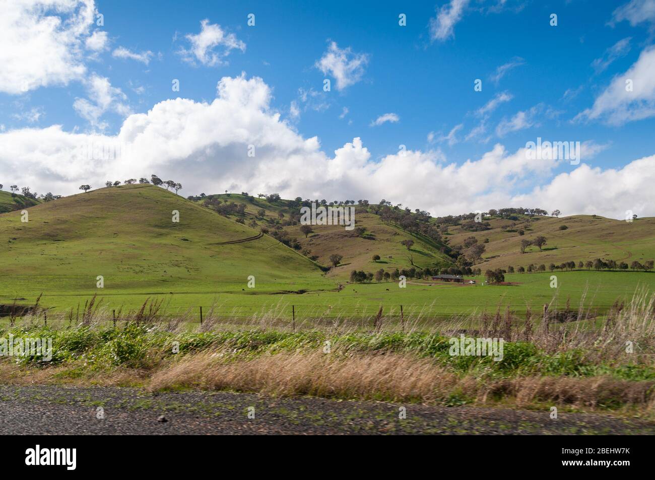 Rolling landscape of green hills and pastures on sunny day. Australian ...