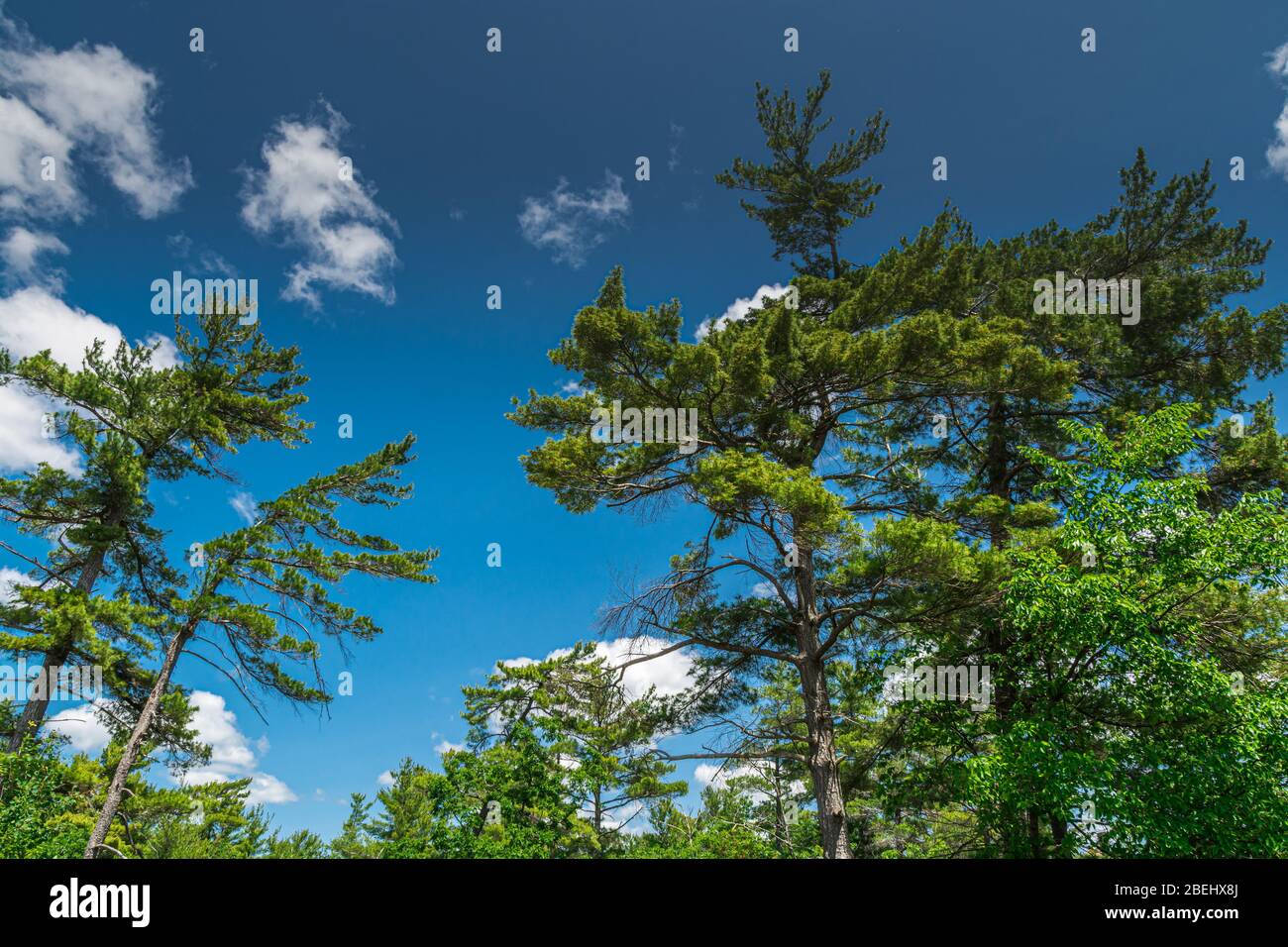 Burleigh Falls Lovesick Lake Dam Selwyn Ontario Canada in Summer Stock ...