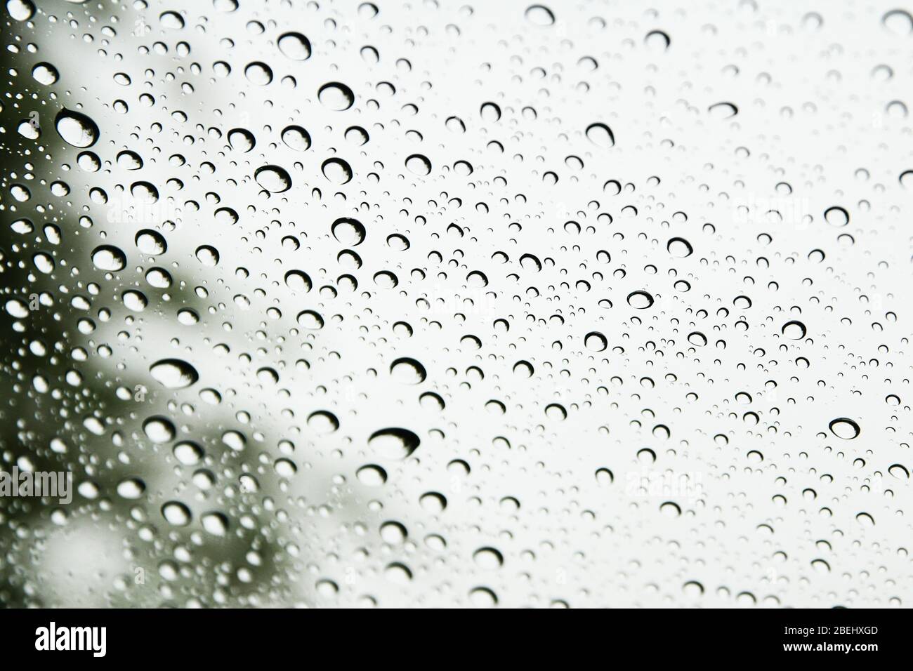 Rain droplet on glass surface Stock Photo - Alamy