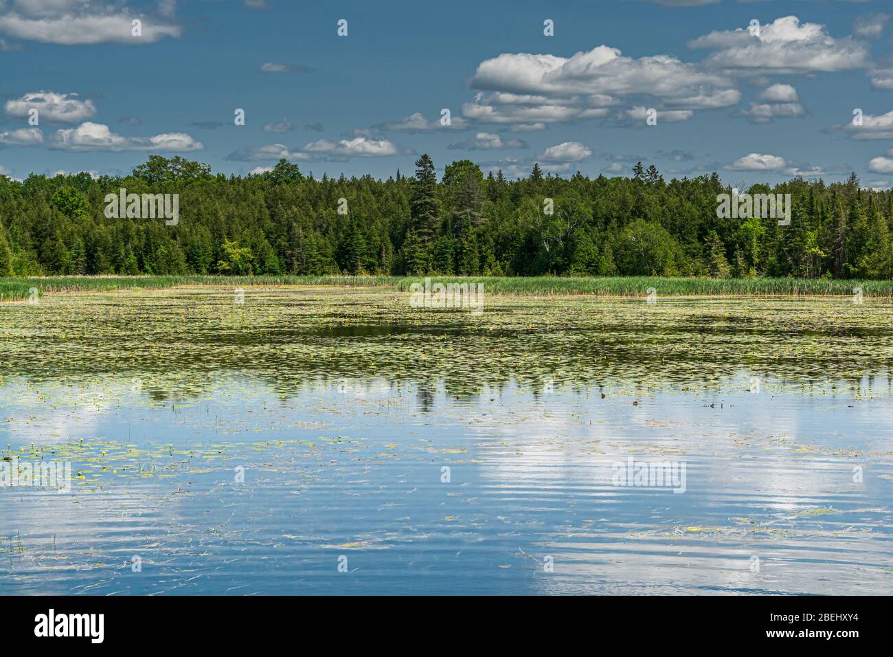 Cottage Country Landscape scene Peterborough Ontario Canada Stock Photo ...