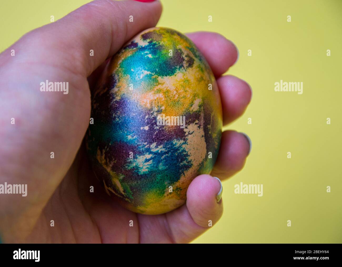 Human hand holding single colorful egg, body part, fingers, one ...