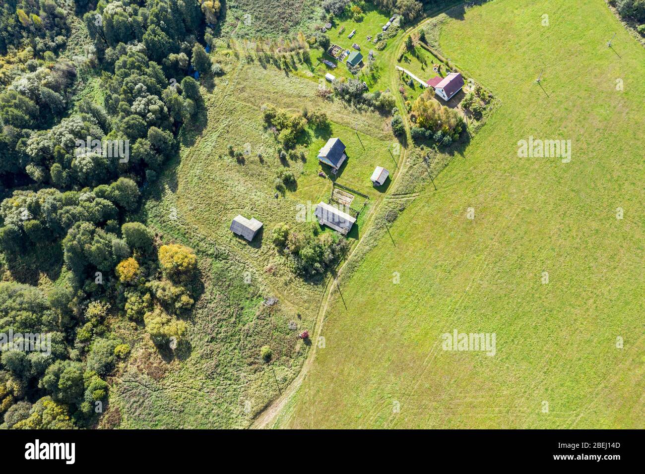 aerial view of rural landscape with farm, green field and forest in ...
