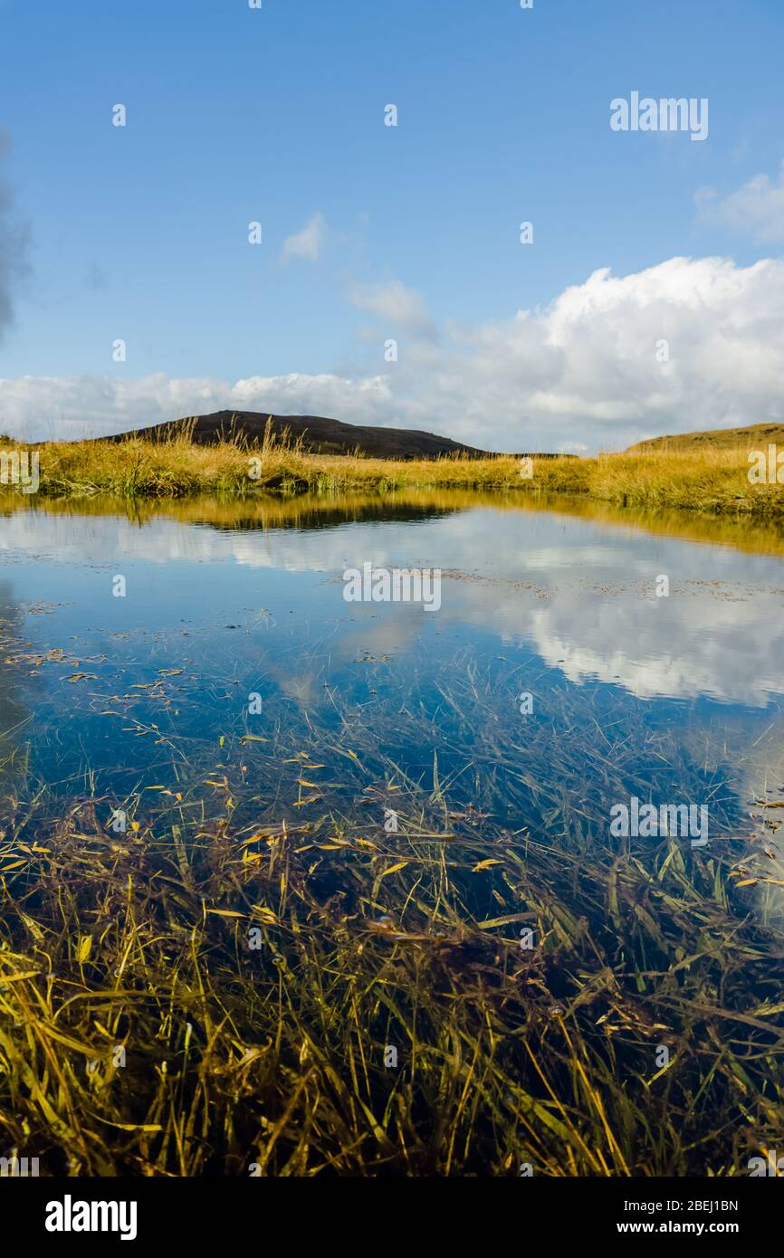 amazing landscape in the countryside with a stream flowing by and a ...