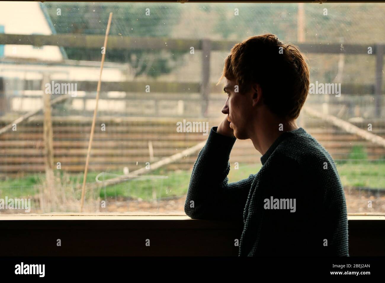 Silhouette of man gazing out of window with garden in background Stock ...