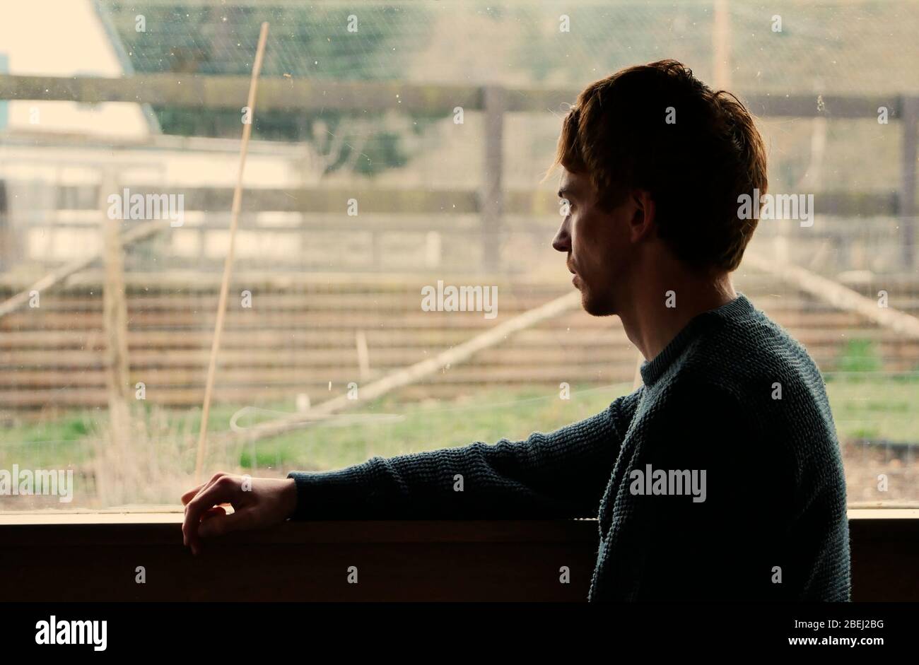 Silhouette of man gazing out of window with garden in background Stock ...