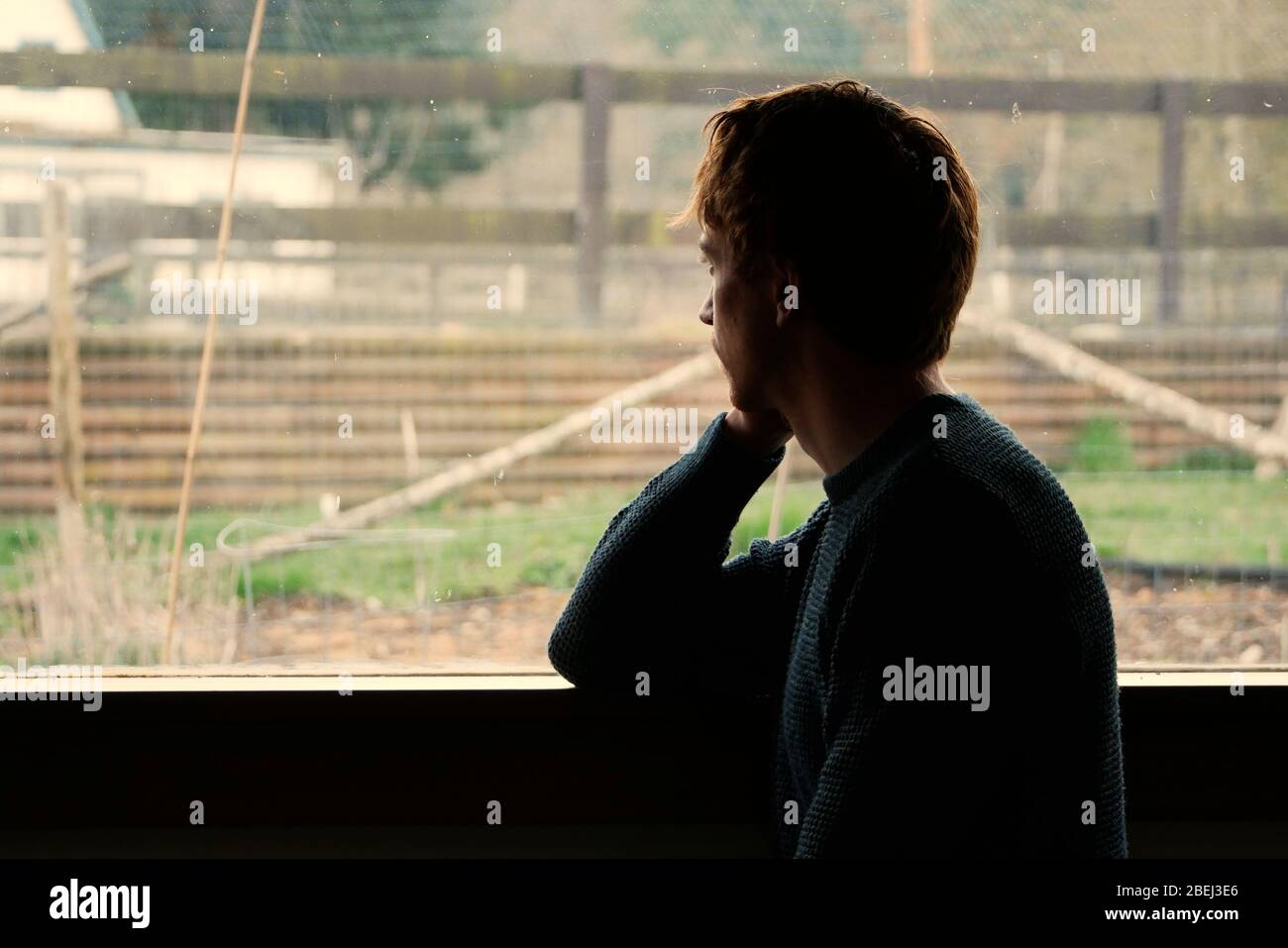 Silhouette of man gazing out of window with garden in background Stock ...