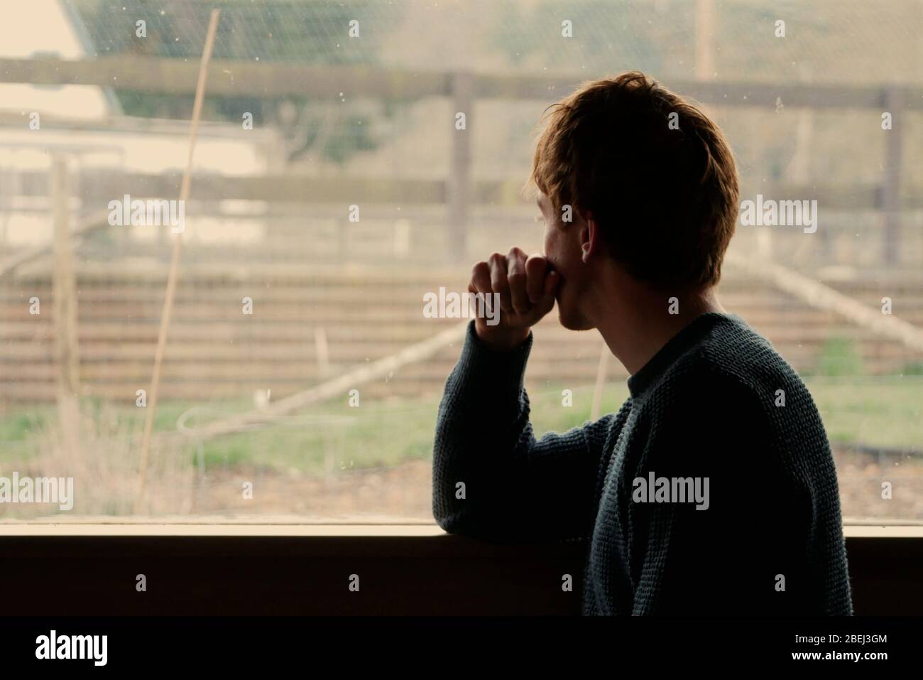 Silhouette of man gazing out of window with garden in background Stock ...