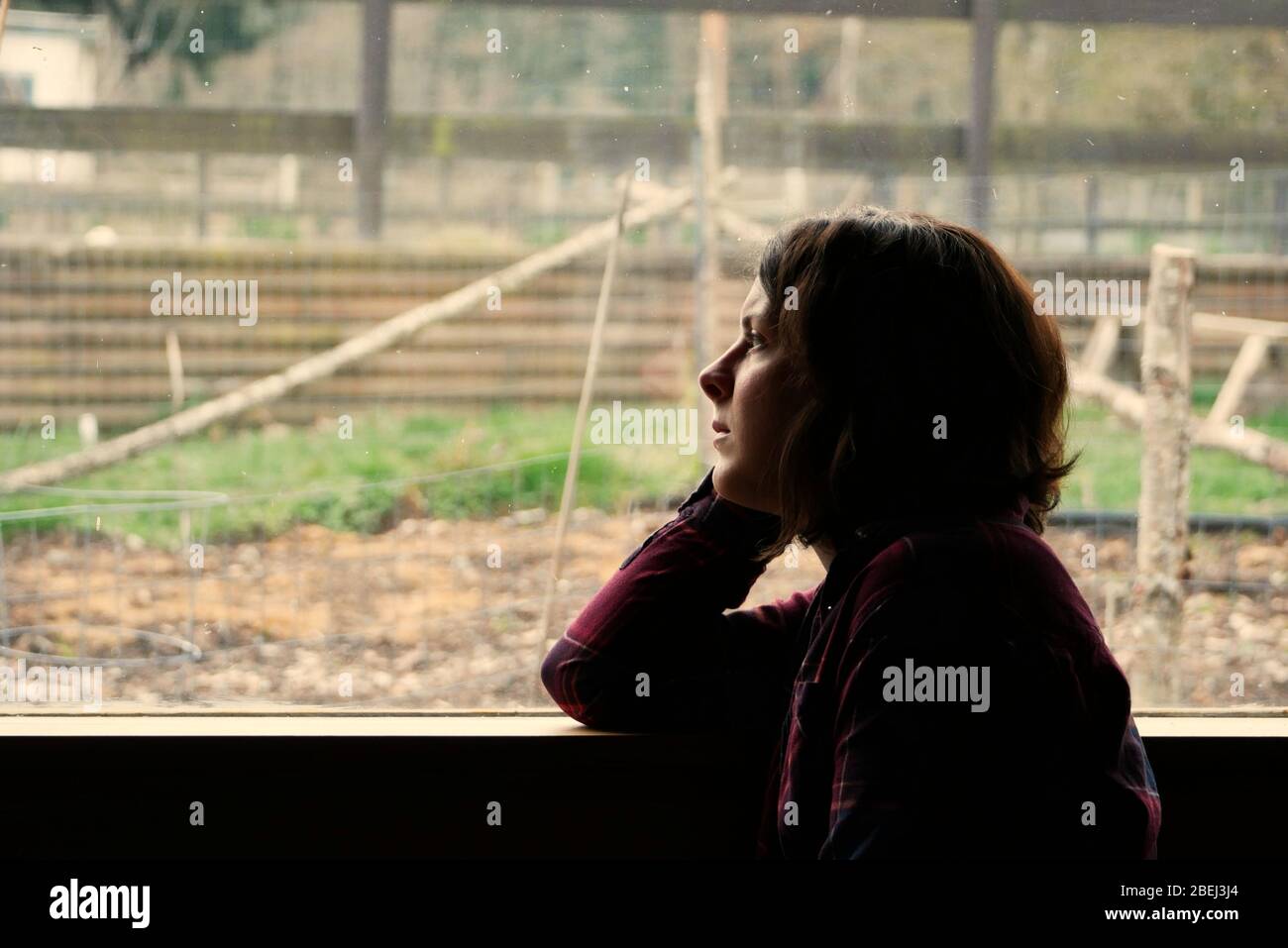 Silhouette of woman gazing out of window with garden in background ...