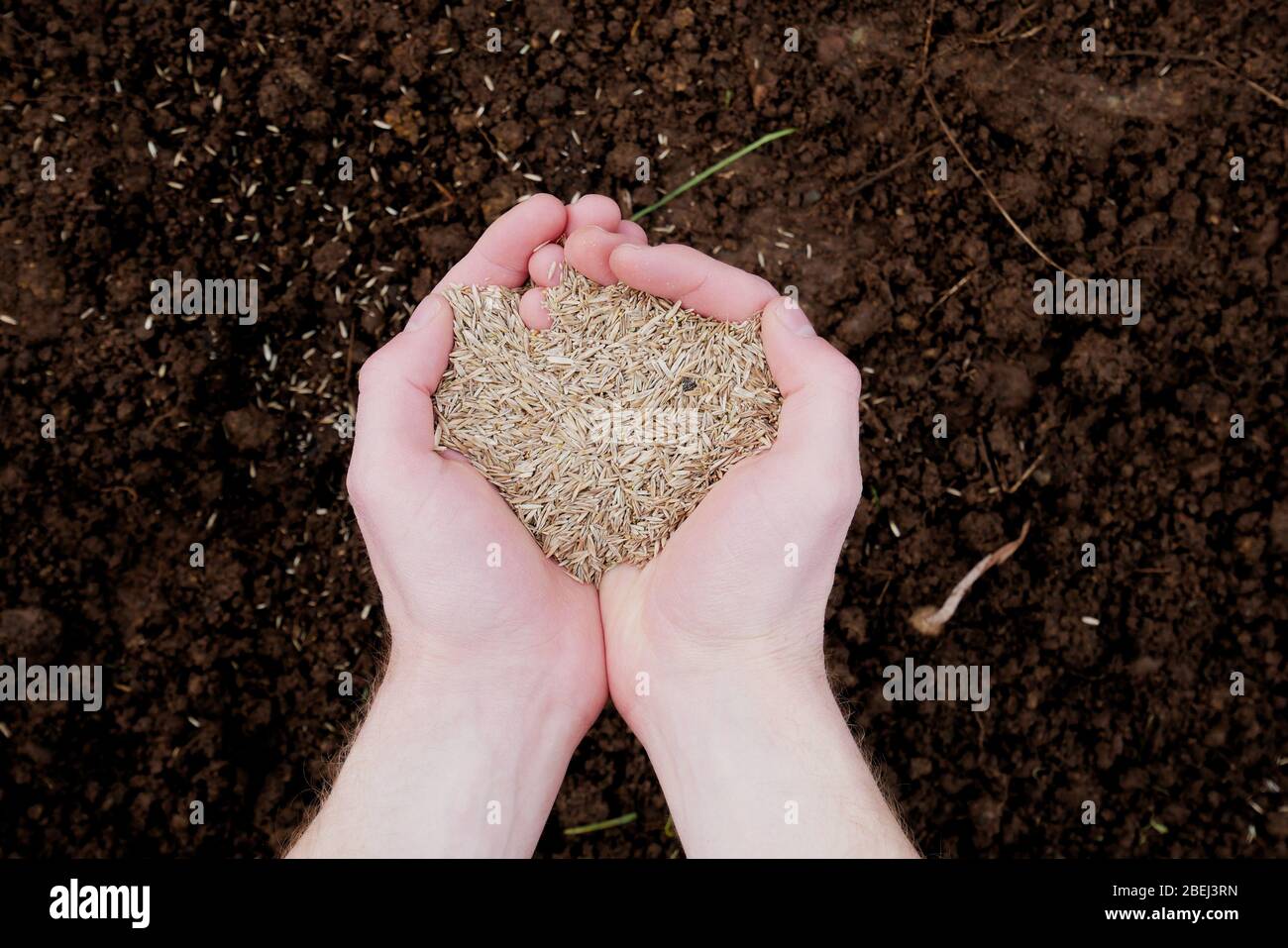 Hands holding soil outside hi-res stock photography and images - Alamy