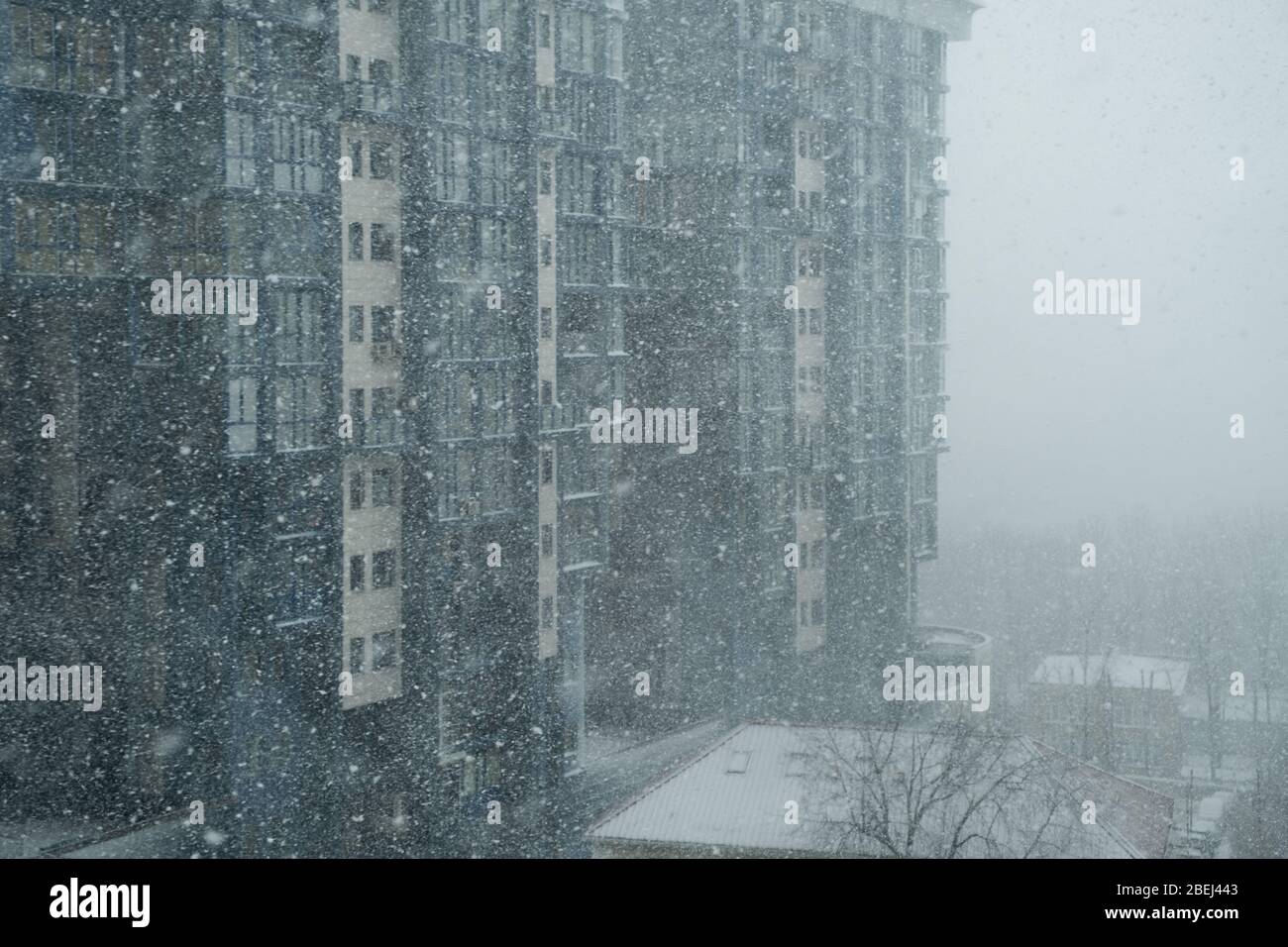 Winter, snow falls in the wind, forms a blizzard against the backdrop ...