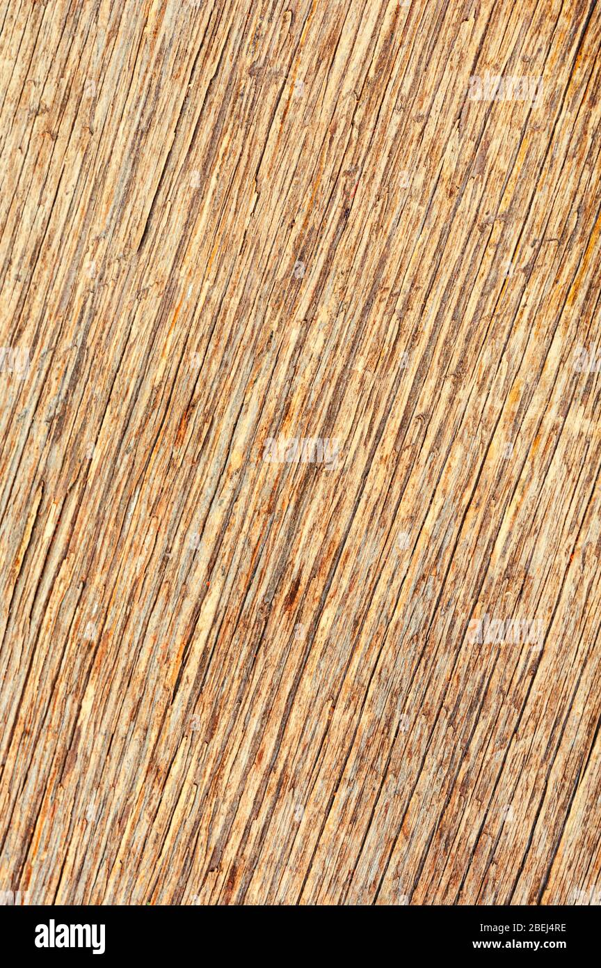 Natural wood texture background,grunge background.Vintage wood ...