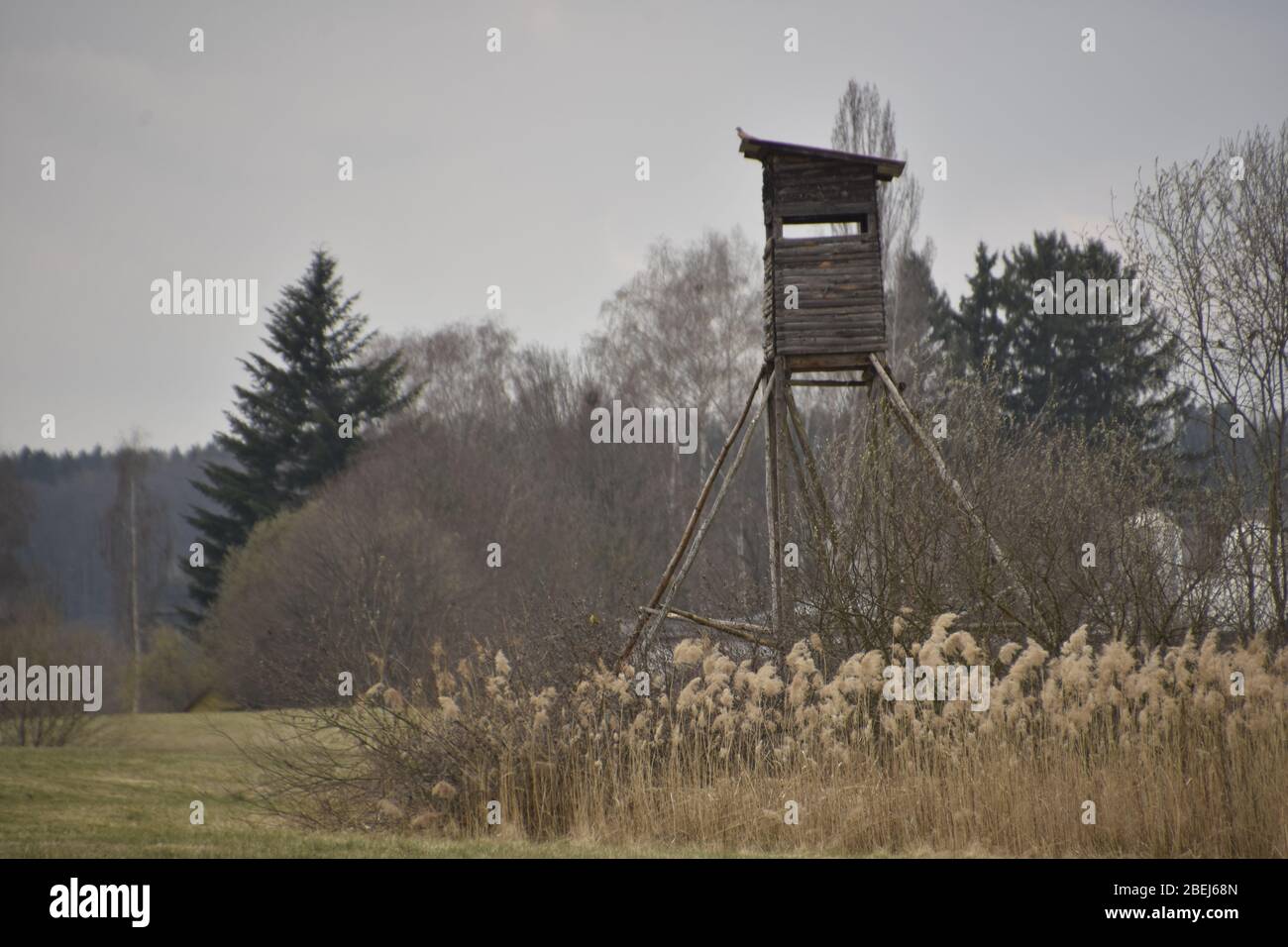 Hunt seat hi-res stock photography and images - Alamy