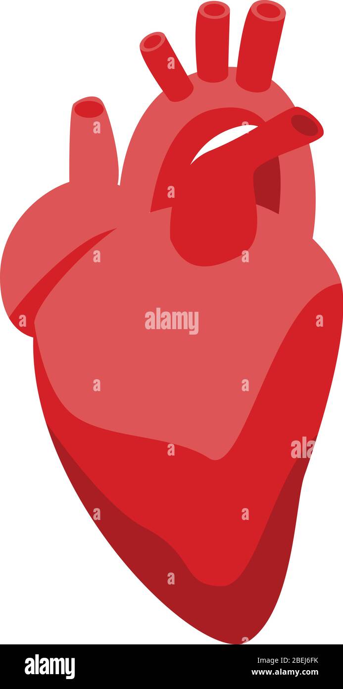 Donate organs human heart icon, isometric style Stock Vector Image ...