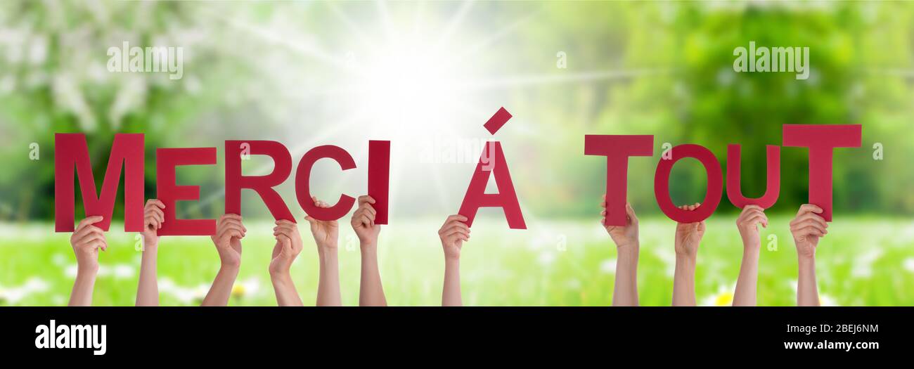 People Hands Holding Word Merci A Tout Means Thank You All, Grass ...