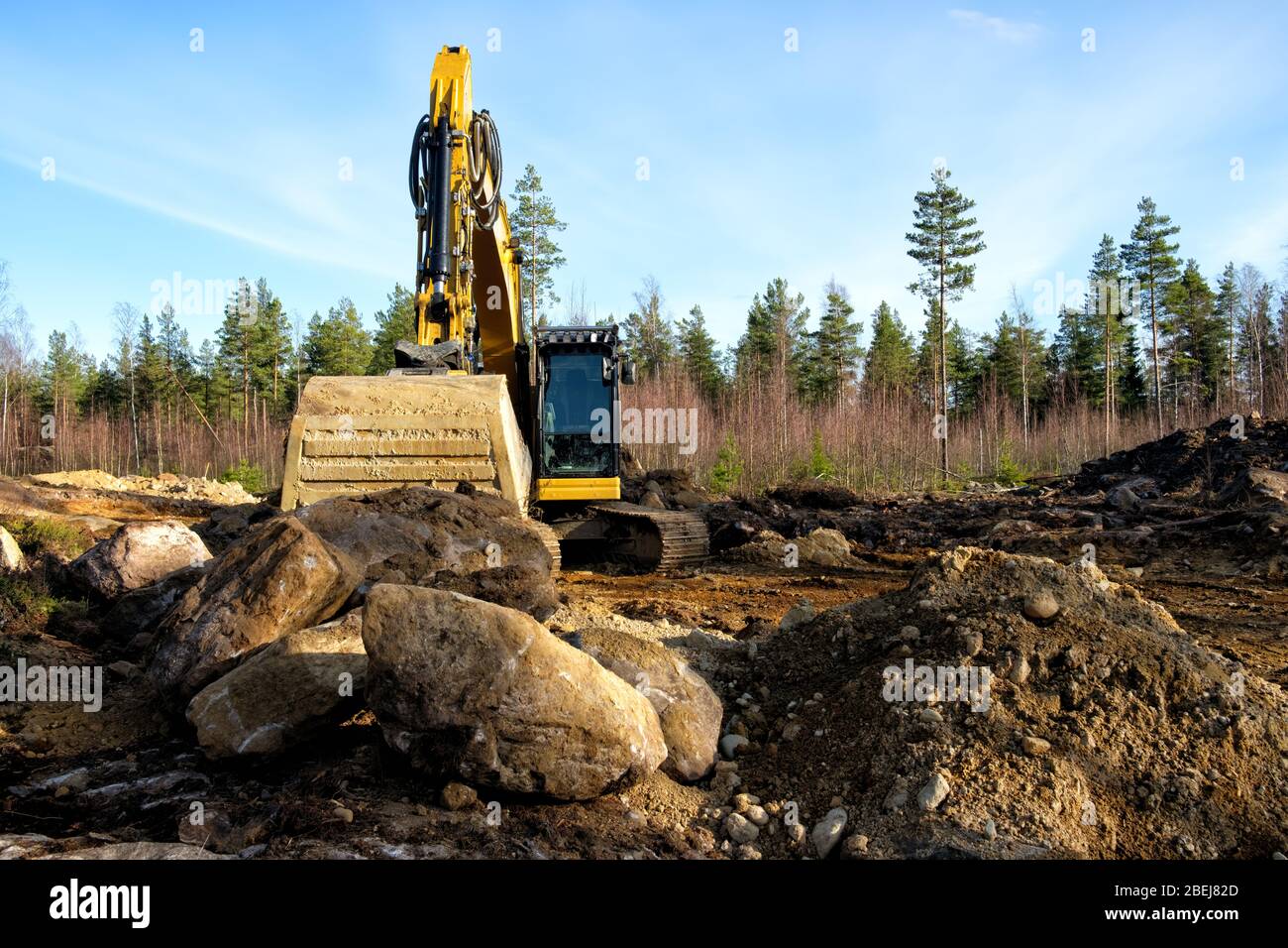 Excavator forest hi-res stock photography and images - Alamy