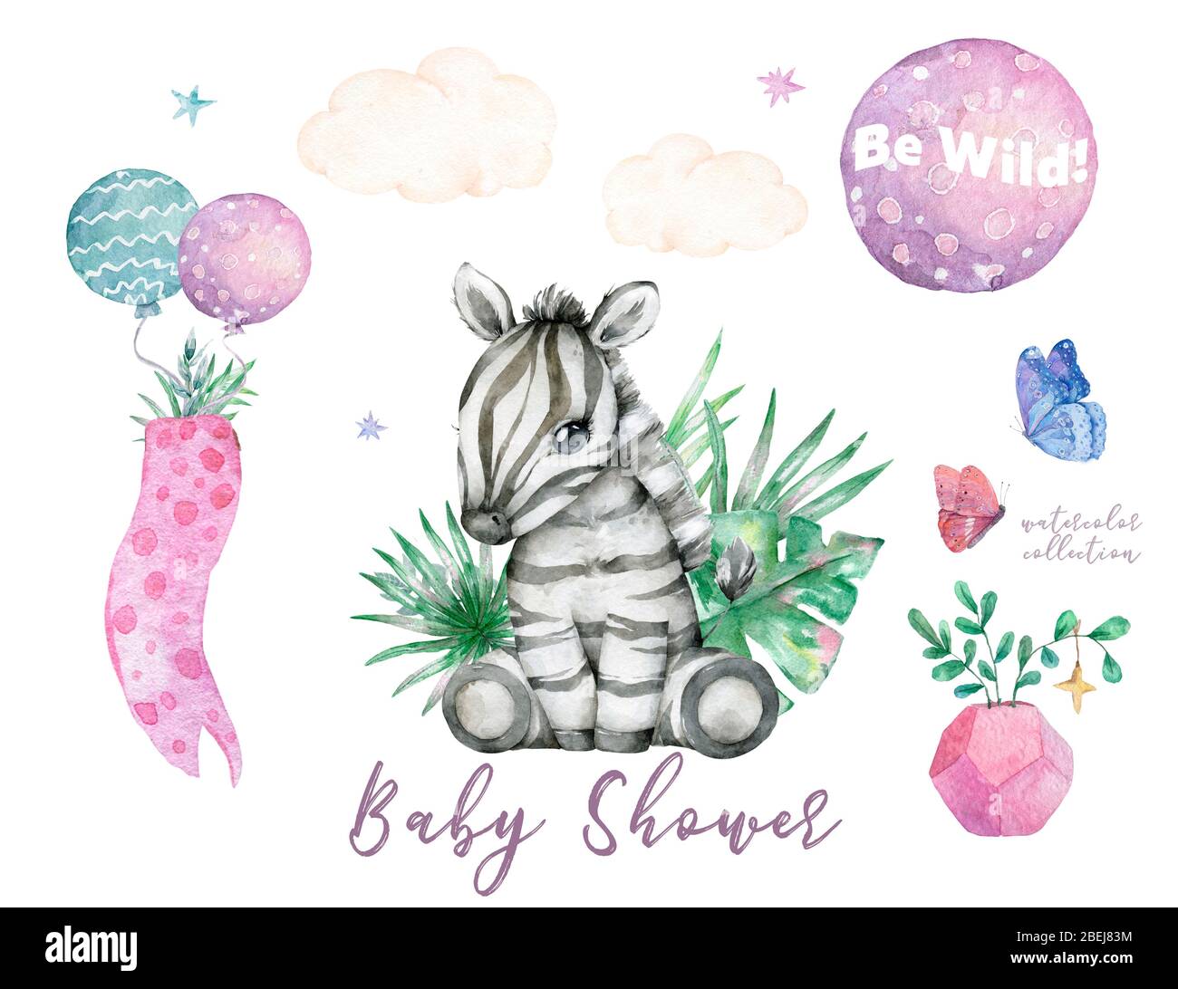 Watercolor cartoon cute baby Zebra with tropical frame background ...