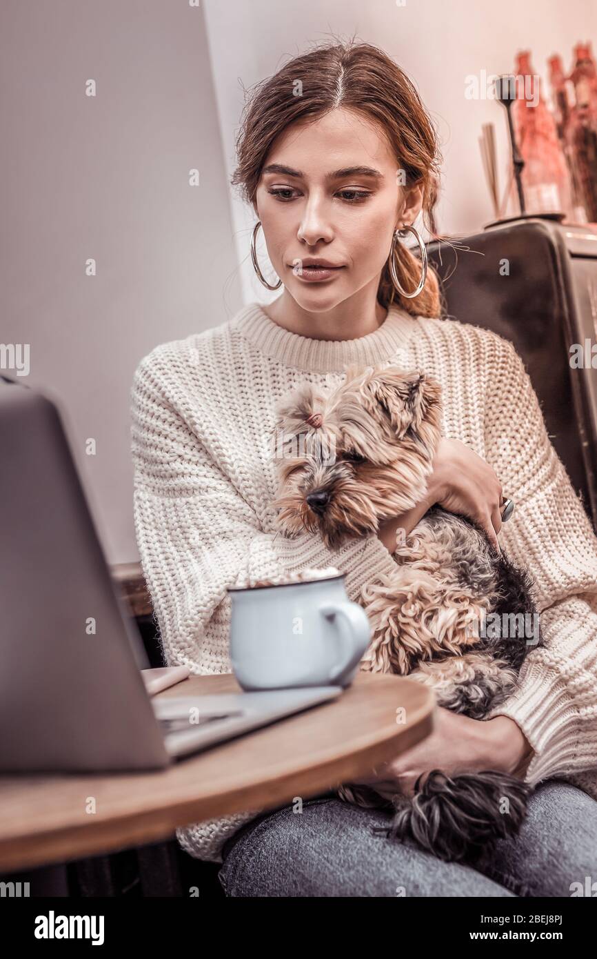 Vertical photo of a young woman working in cafe with her dog on a good ...