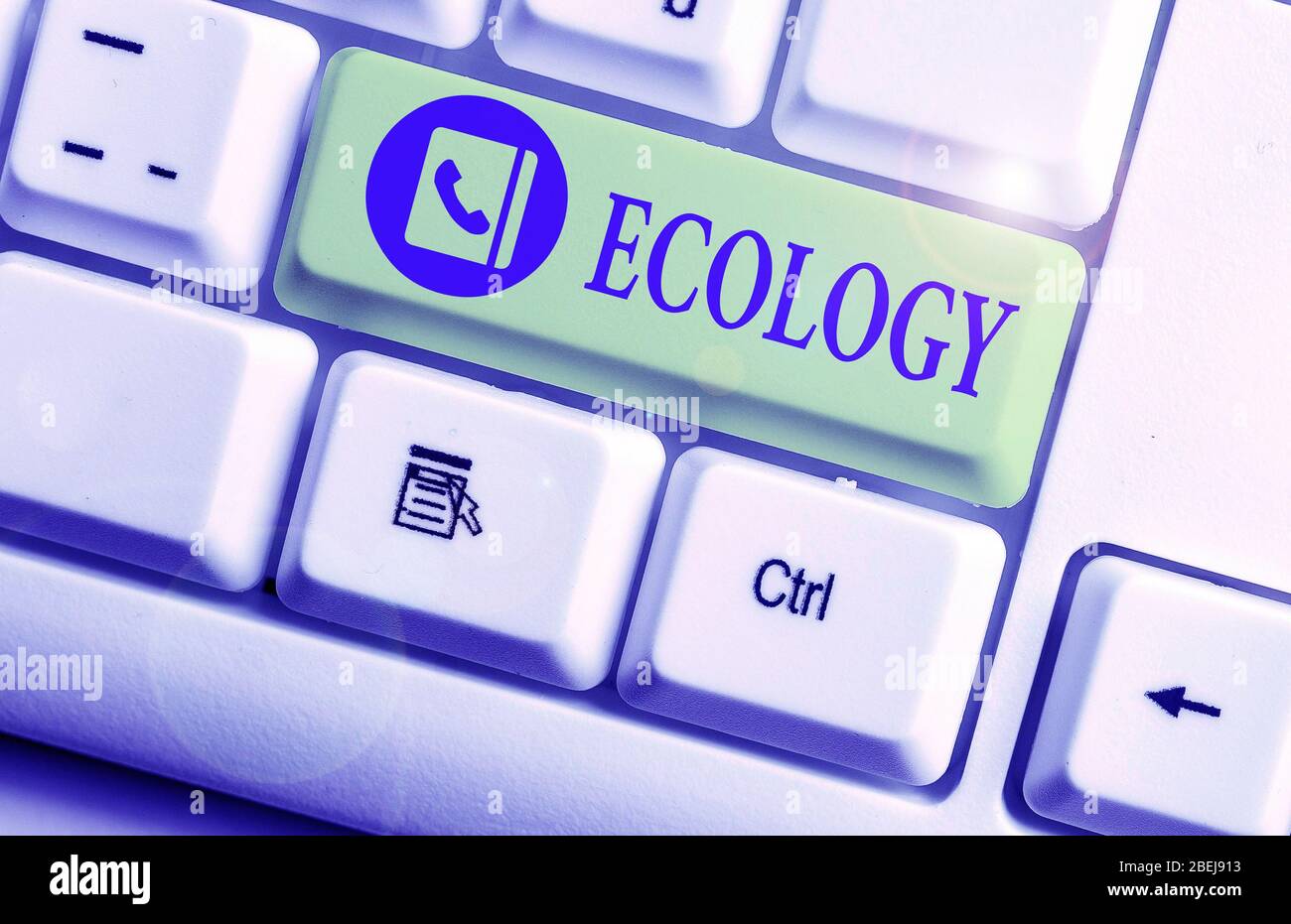 Handwriting text writing Ecology. Conceptual photo Branch of science ...