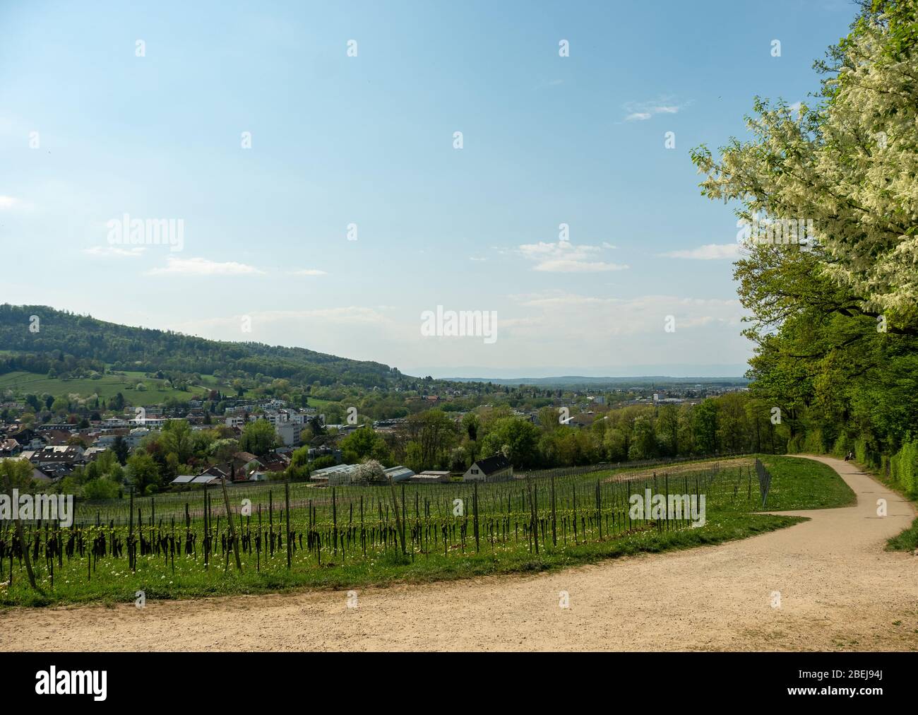 Freiburg vauban hi-res stock photography and images - Alamy
