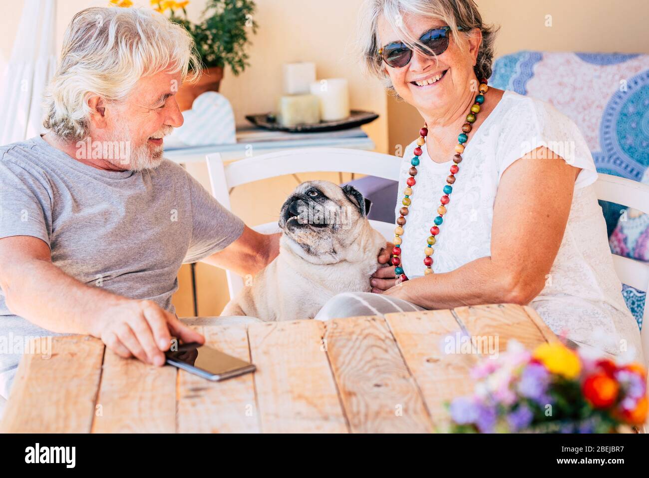 Retire dog hi-res stock photography and images - Alamy