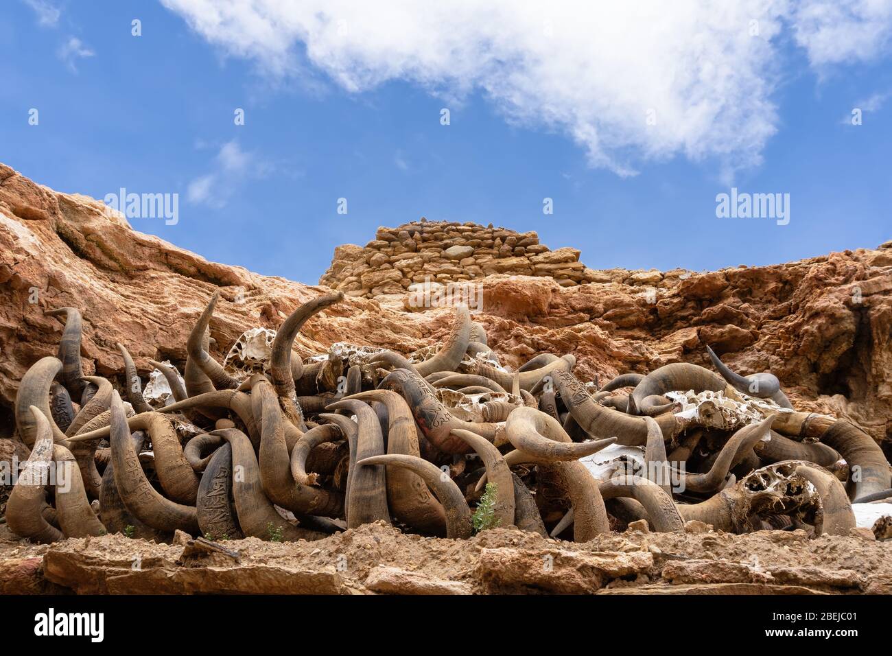 Pile of animal skulls near small old Tibetan monastery at the holy Lake ...
