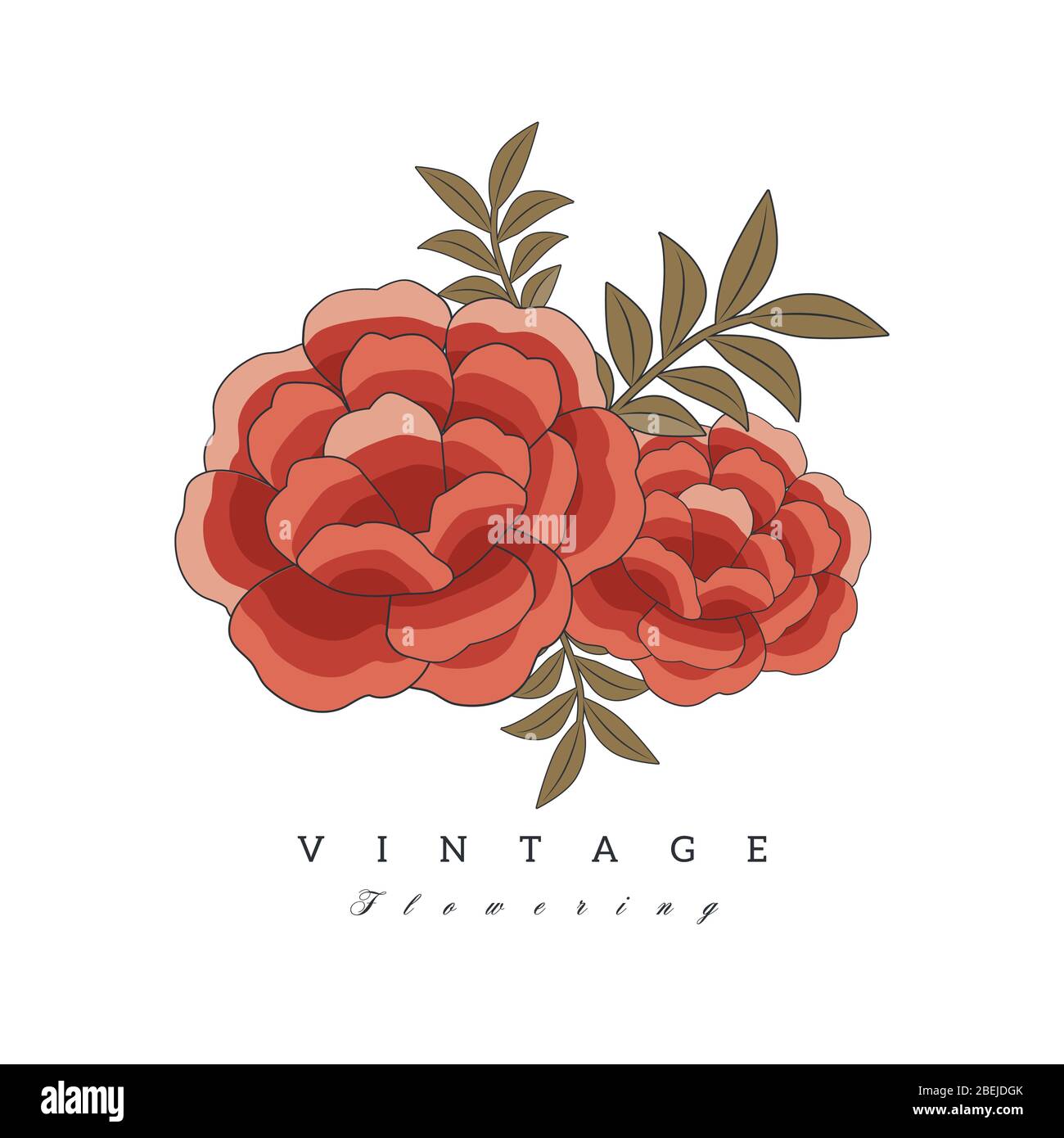 Stylized vintage retro flower. Natural style brand logo isolated on ...