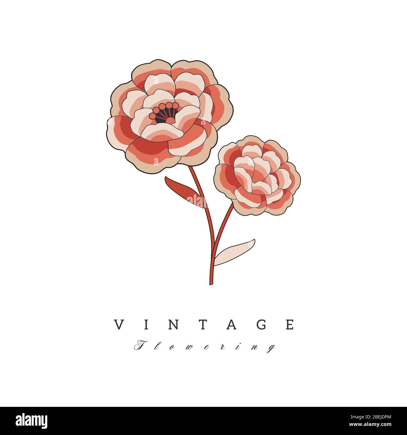 Stylized vintage retro flower. Natural style brand logo isolated on ...