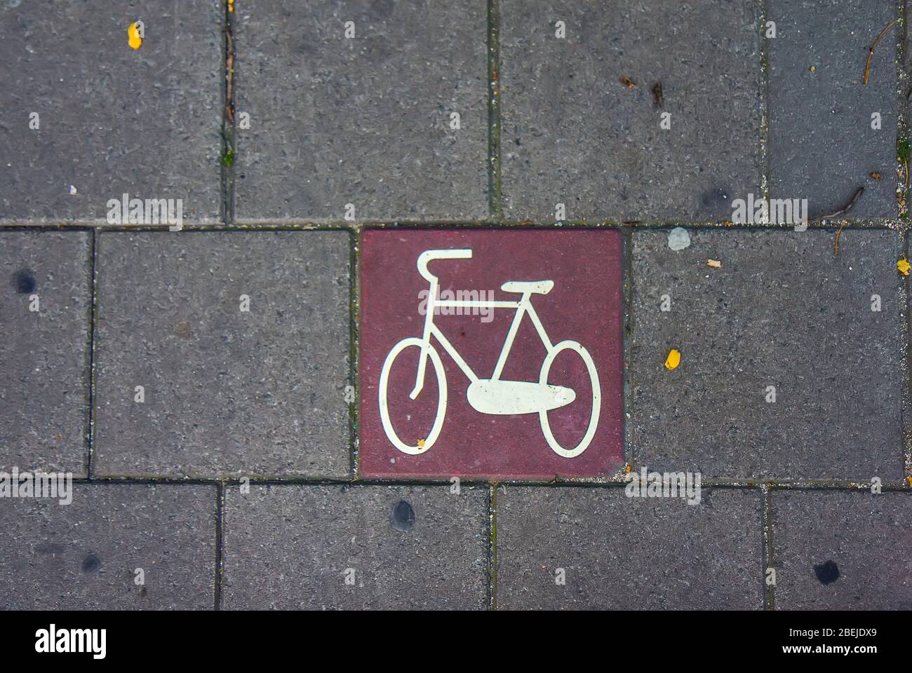 Traffic sign no parking cycle hi-res stock photography and images - Alamy