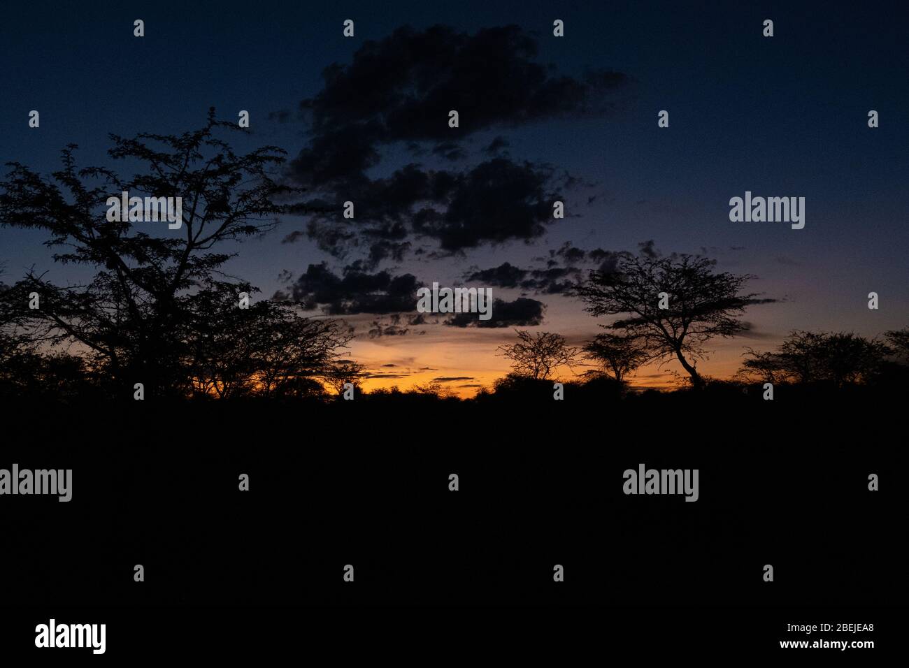 The sun rises in the Kalahari Basin, Namibia Stock Photo - Alamy