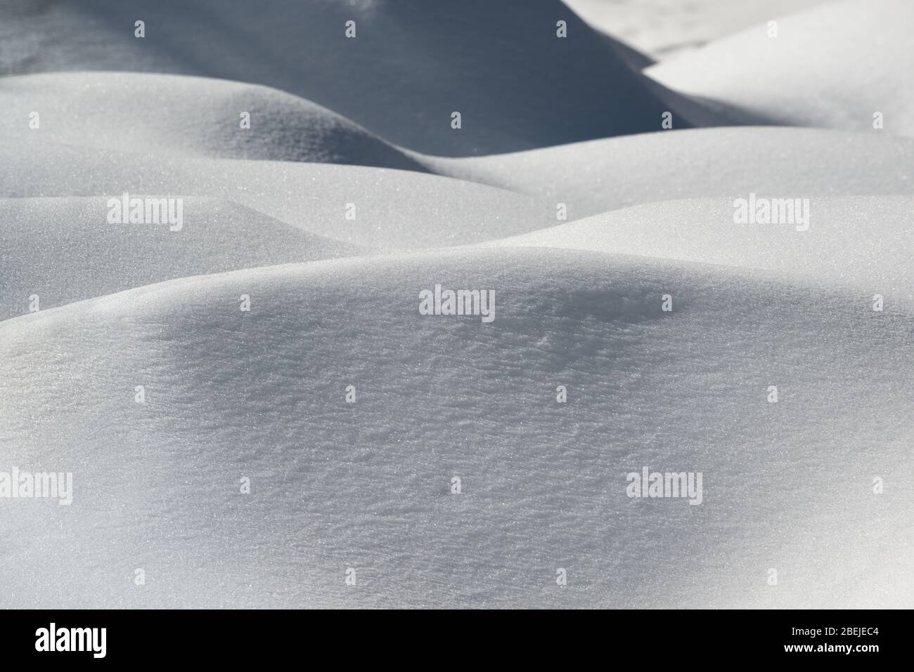 Pure fresh white snow texture, background, wallpaper. Empty space ...